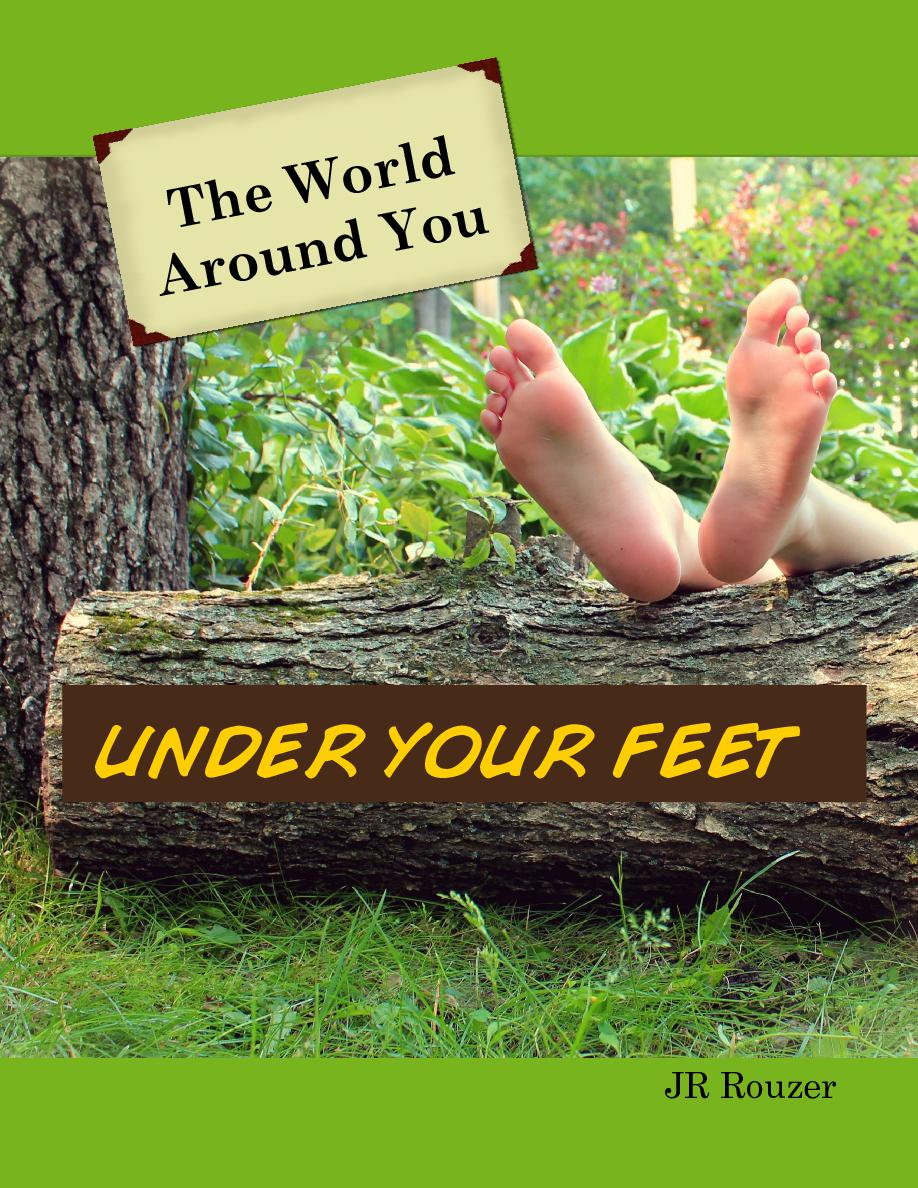 The World Around You - Under Your Feet | Book 783594