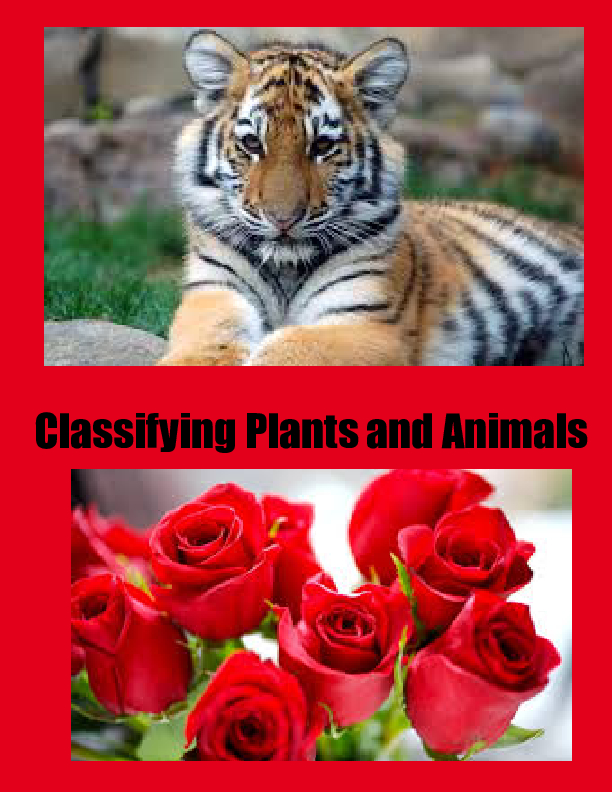 Classifying plants and animals - classif | Book 455072