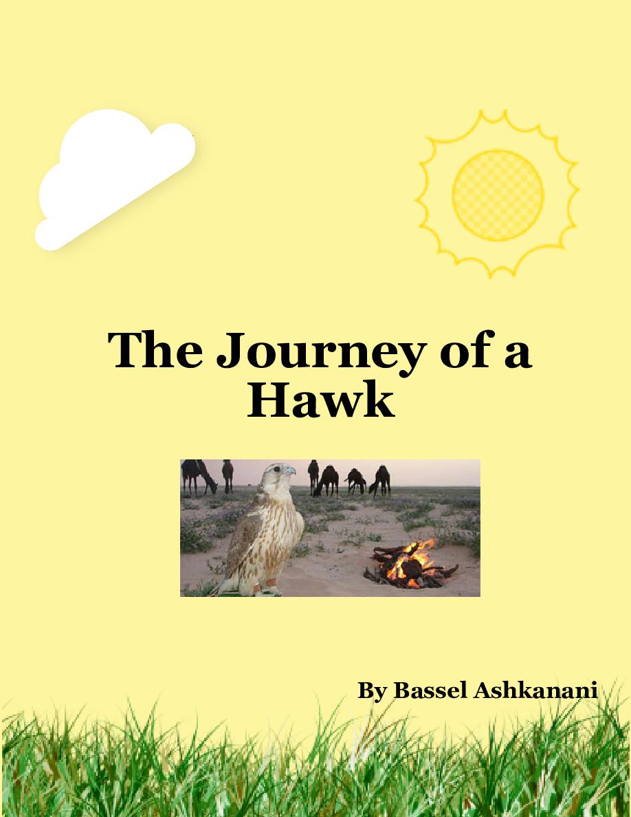 The Journey of a Hawk | Book 627806