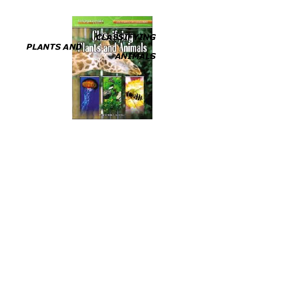 classifying plants and animals - plants | Book 451444