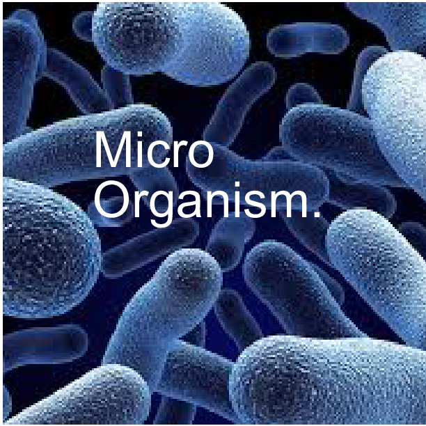 Micro Organisms - How Micro Organism obt | Book 453728