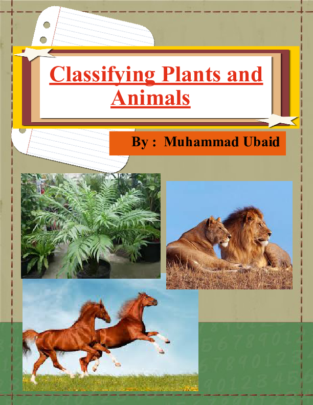 Classifying Plants and Animals | Book 453191