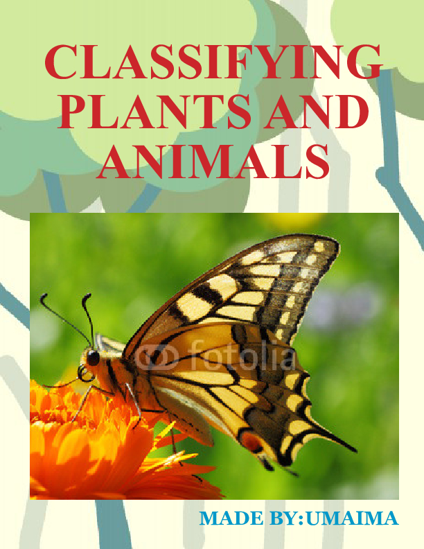 Classifying Plants & Animals | Book 455381