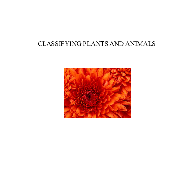 Classifying plants and animals - plants | Book 450895