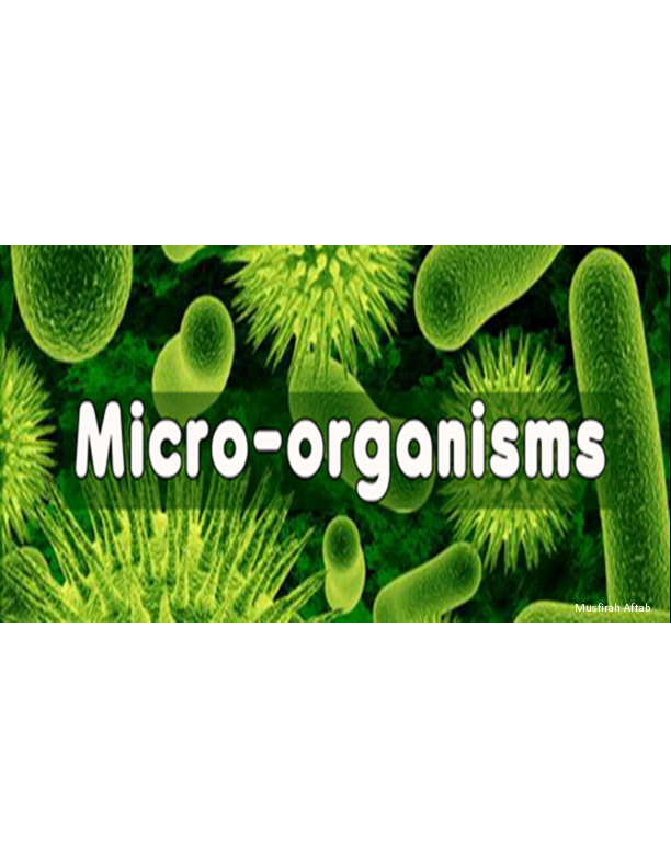 Micro-organisms - Micro-organisms | Book 451057
