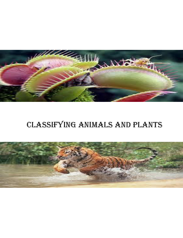 Classifying animals and plants - animals | Book 453582