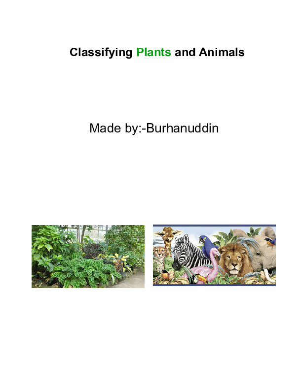 CLASSIFYING PLANTS AND ANIMALS - Plants | Book 450916