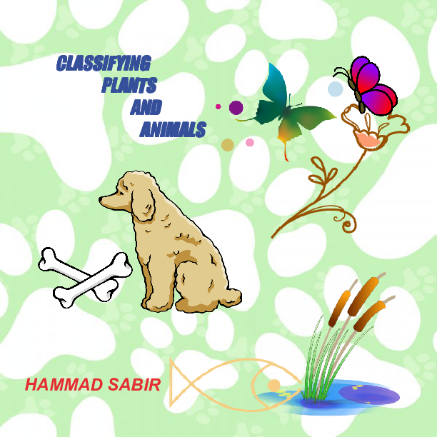 Classifying Plants and Animals - PLANTS | Book 450971