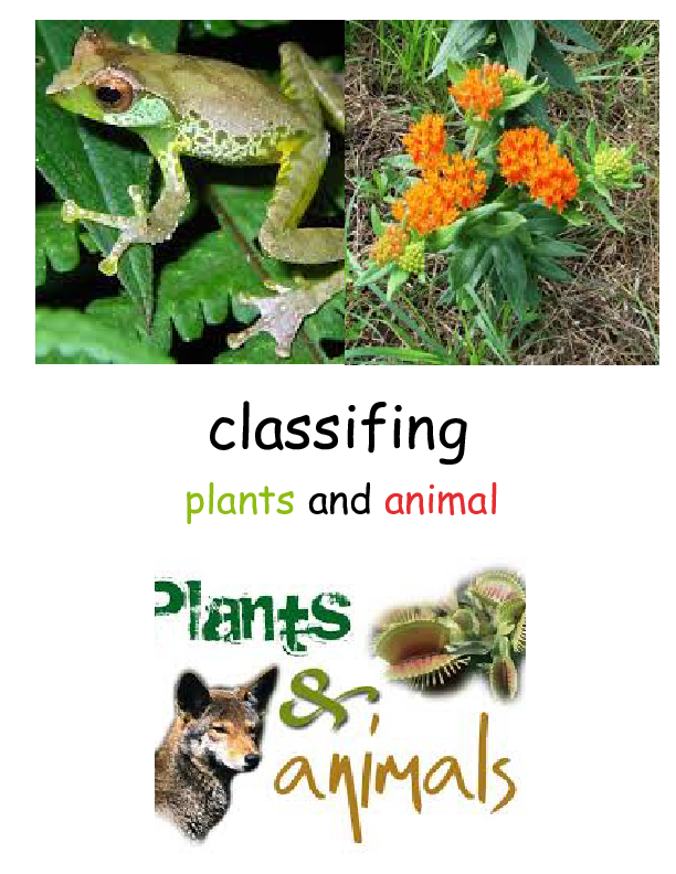 Science - classifing plants and animal | Book 450959