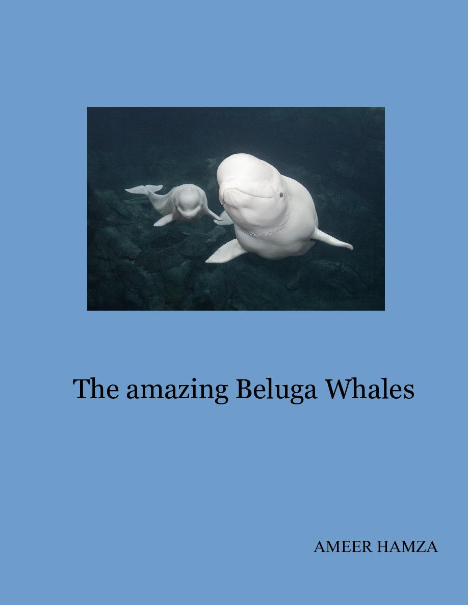 The amazing Beluga Whales | Book 748966
