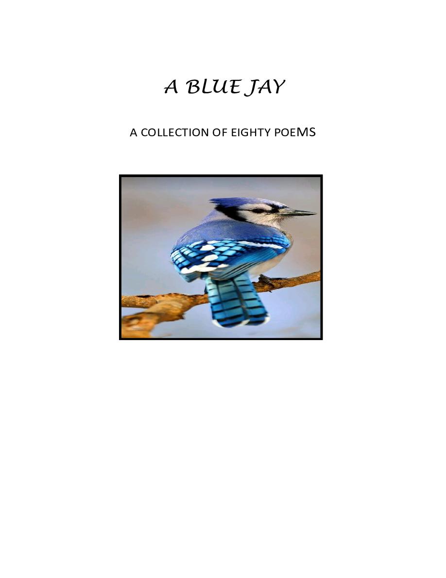 Bookemon: A BLUE JAY | Book 867908