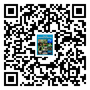 Top 12 Endangered Species | Book 433478 - Bookemon